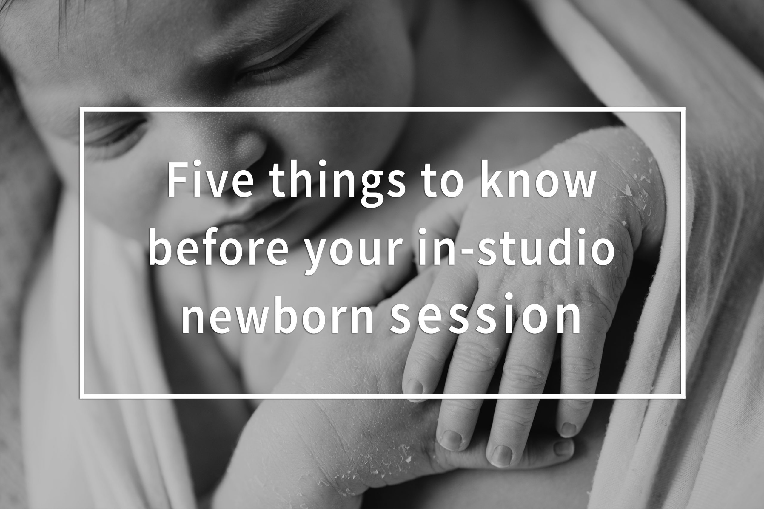 Five things to know before your in-studio newborn session